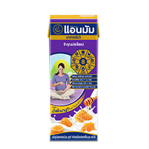 Anmum UHT Partly Skimmed Milk Honey Flavor 180 ml | KOKKOK Mart